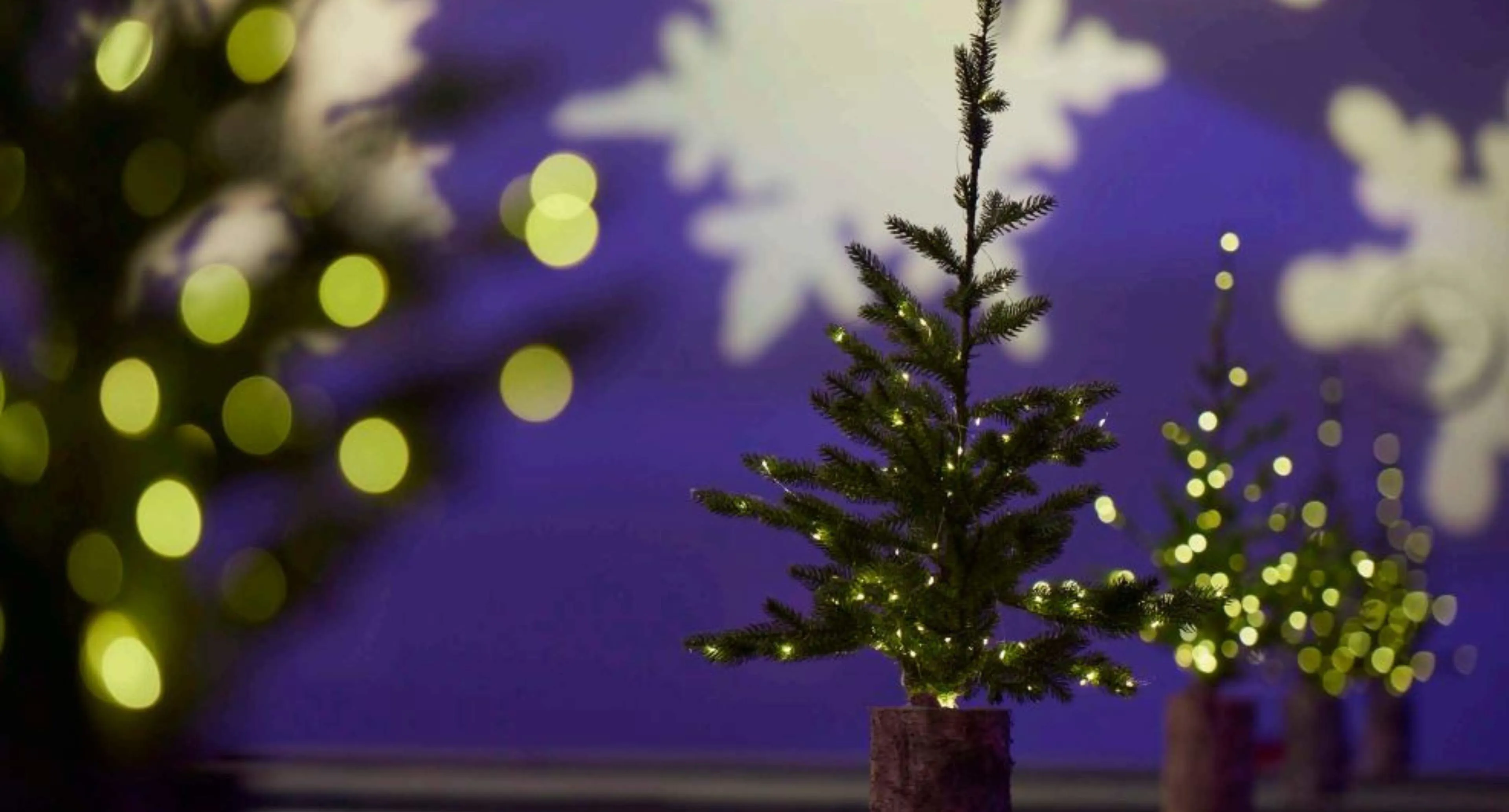 Den søde juletid i Roskilde Kongres- og Idrætscenter